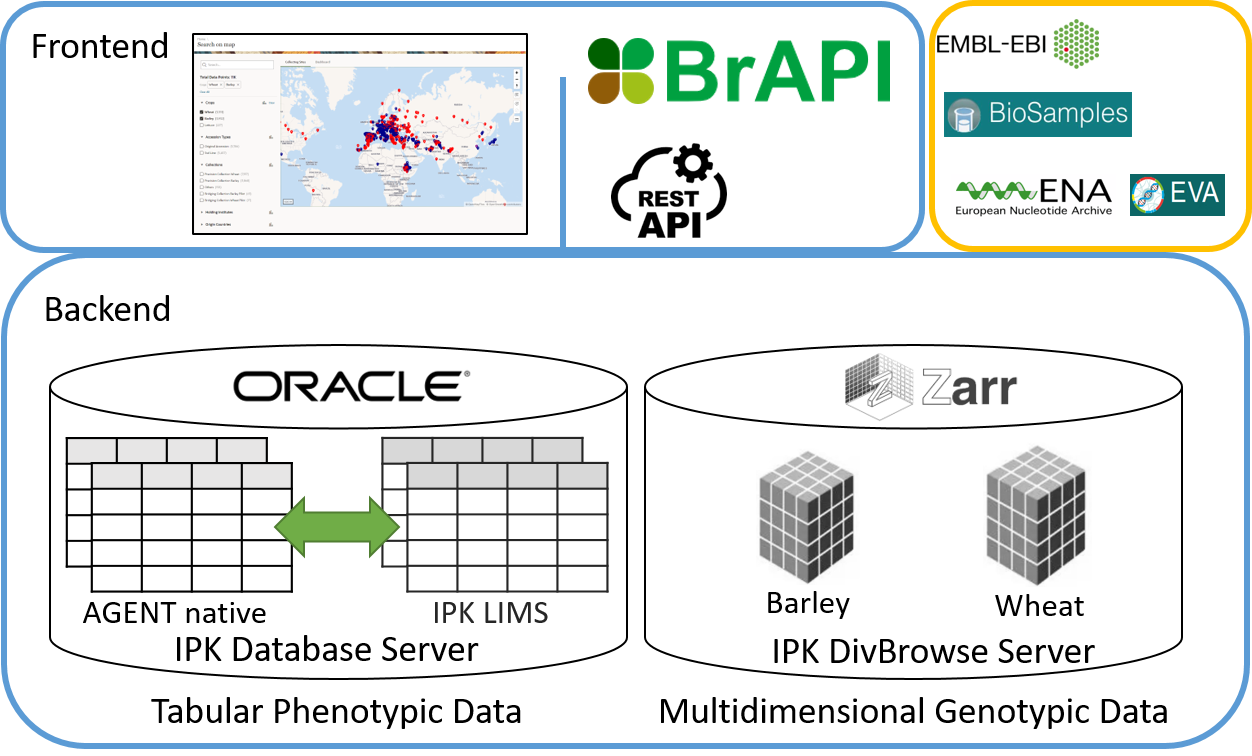 BrAPI Success Stories